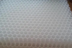 FRP Polypropylene Honeycomb Panels - LZ PANELS